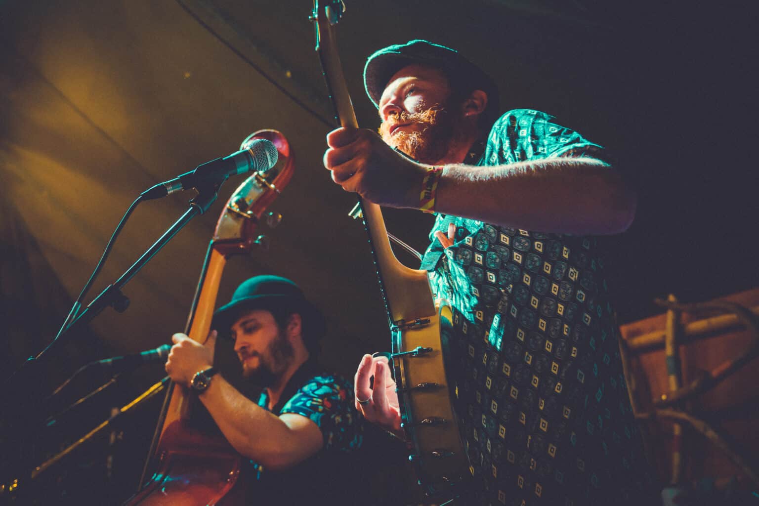 The Swamp Stomp String Band - Camp Kindling